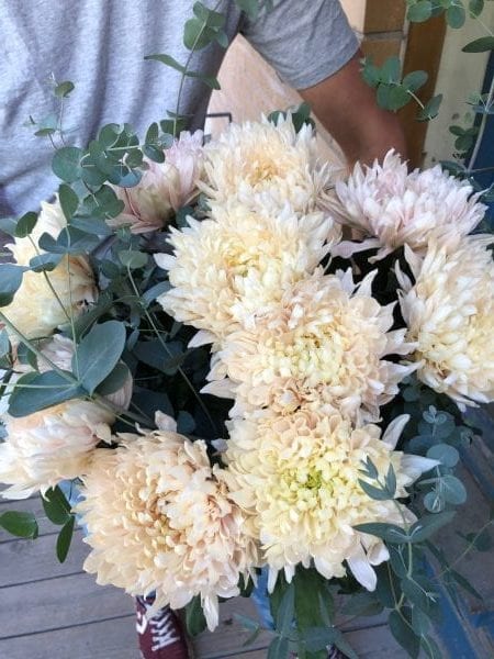 Bouquet Chrysanthème Avignon et son eucalyptus.